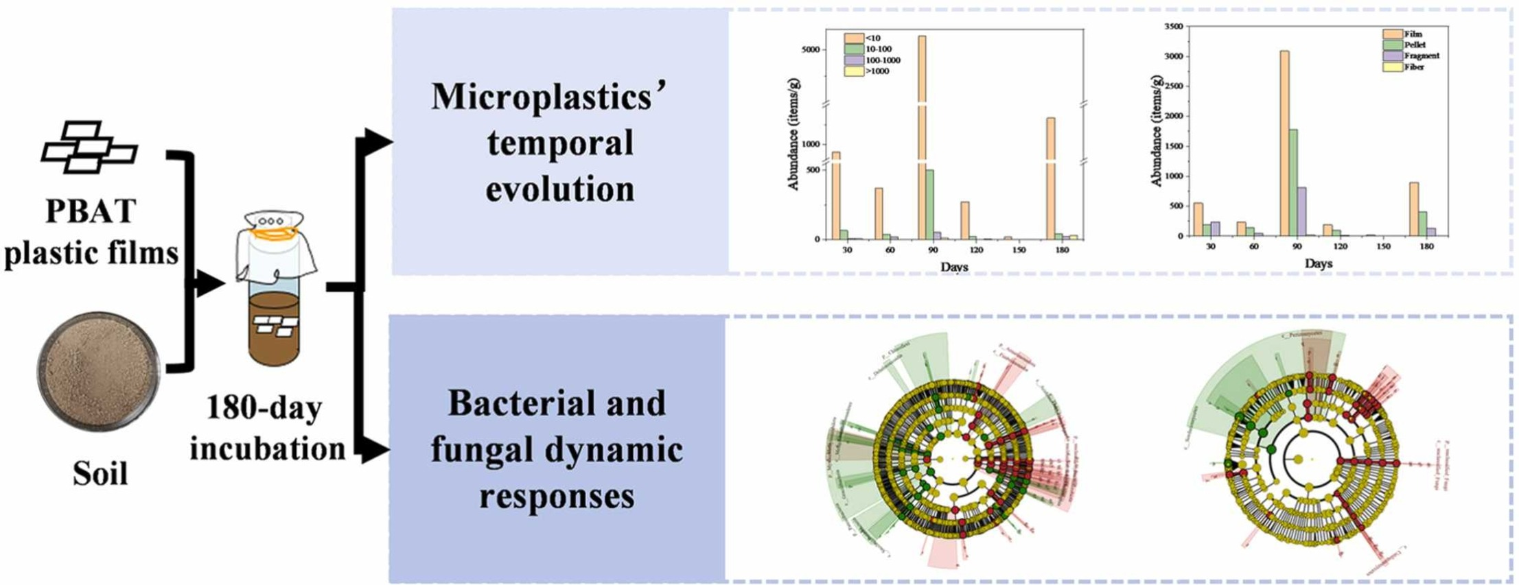 PBAT地膜在环境释放的微塑料，最大降幅超70%-中塑行情-中塑资讯-中塑在线塑料行业门户